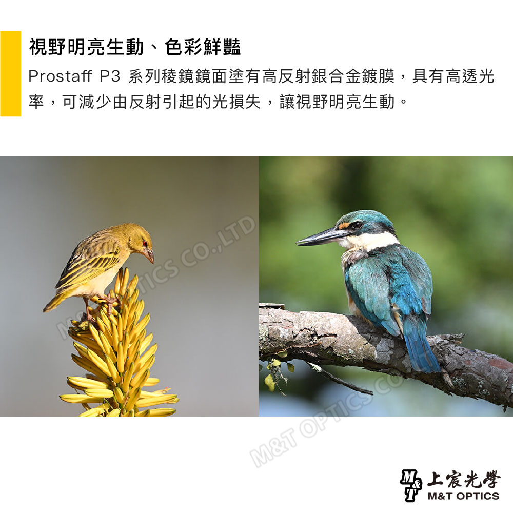 Nikon 尼康 ProStaff P3 8x42雙筒望遠鏡 - PChome 24h購物