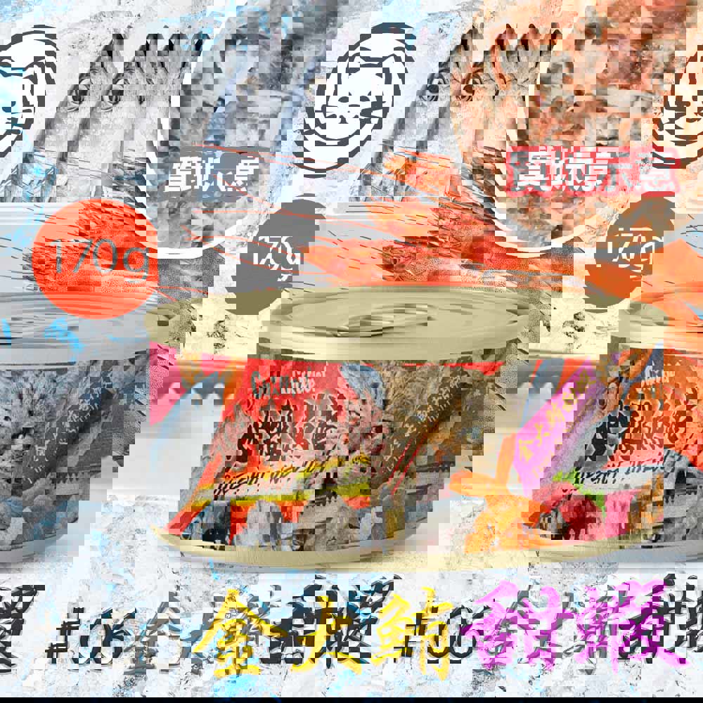 貓咪副食罐、餐包｜熱銷推薦｜毛好多